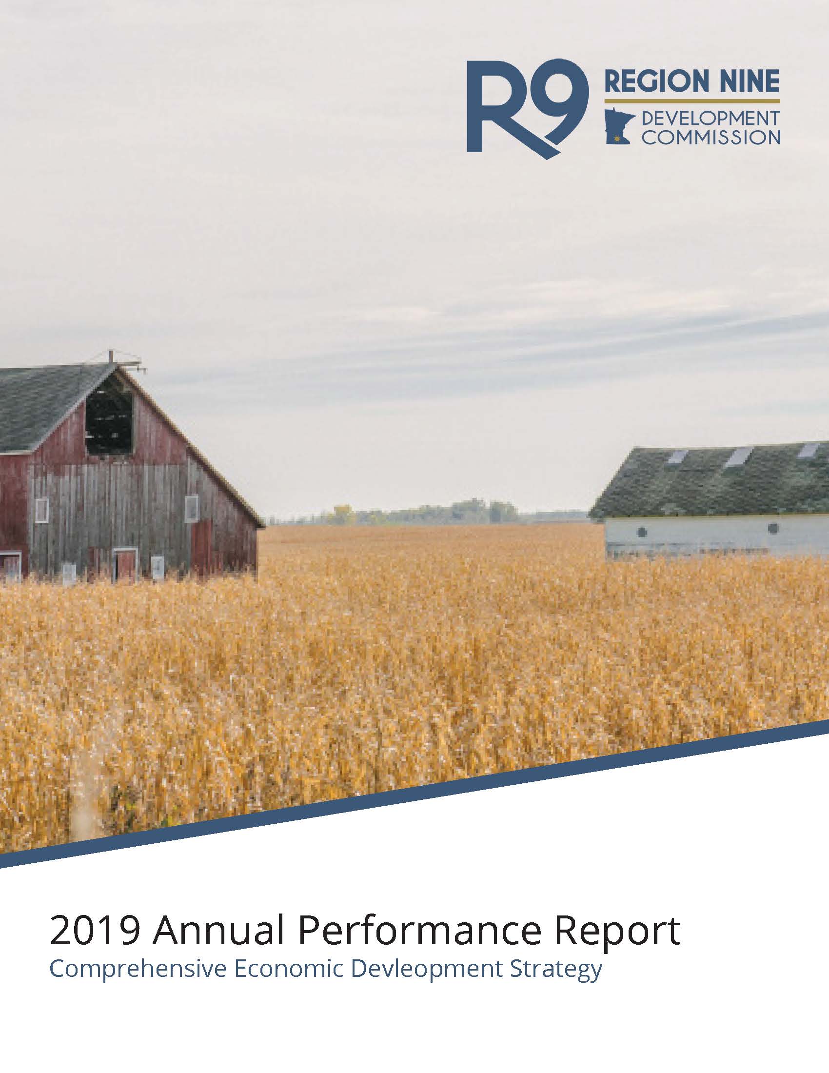 2019 Annual Performance Report - Region Nine Development Commission